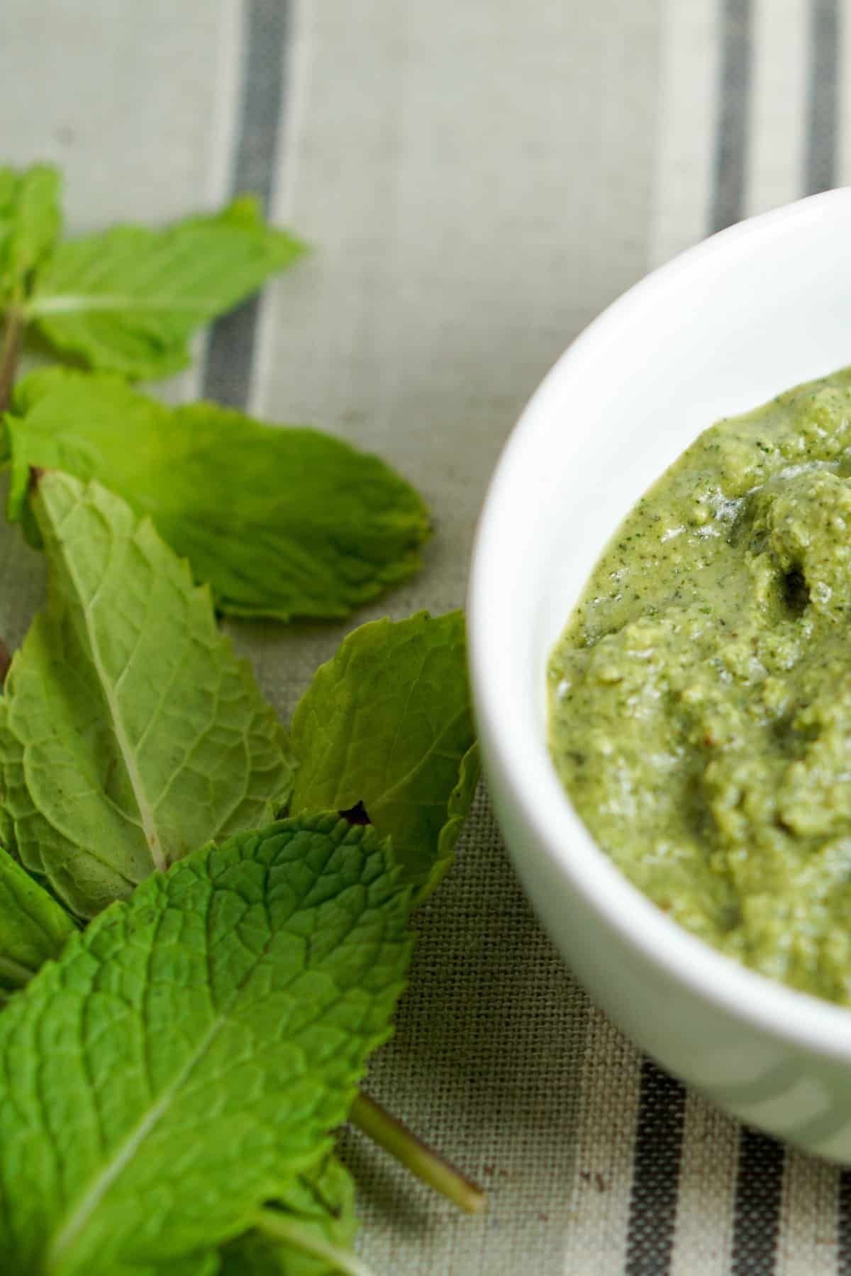 Blender Mint Chutney - Eat Your Way Clean