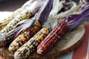 Can you eat Indian Corn? -> YES! and here's how. - Eat Your Way Clean