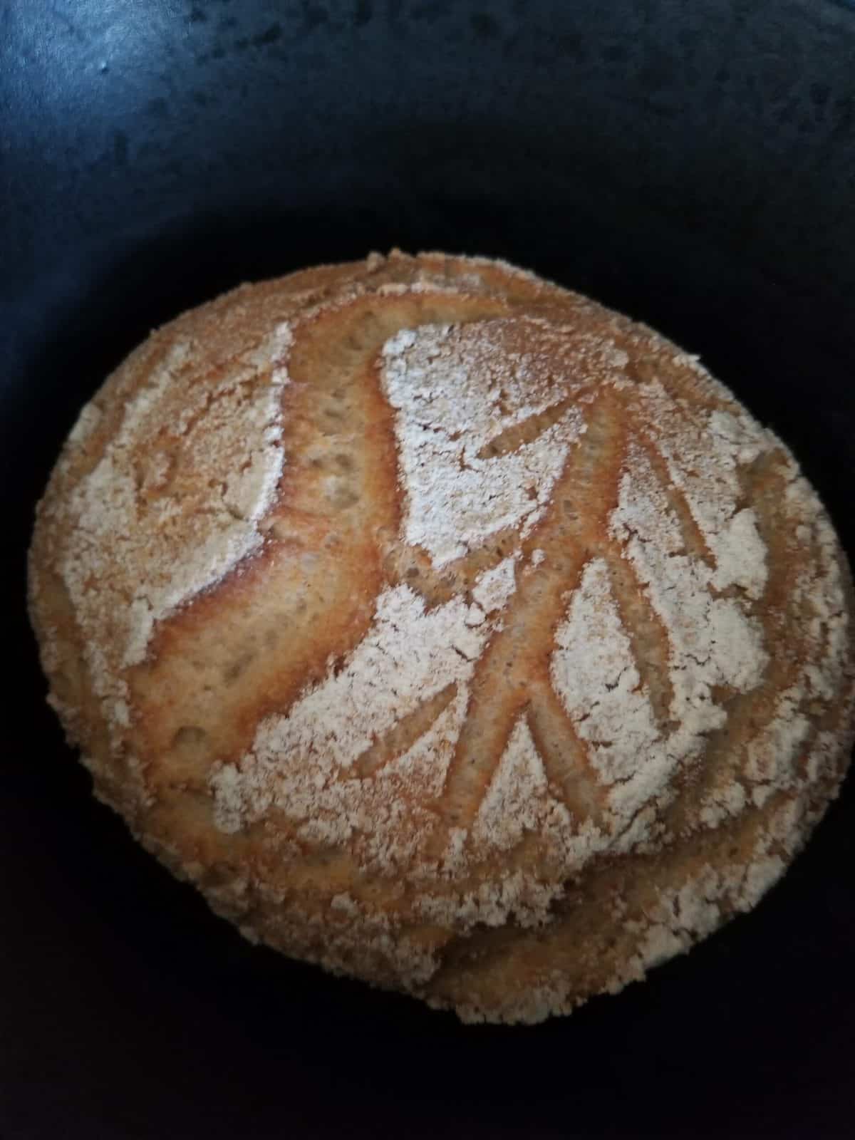 The 3-day no-scale Gluten-Free Sourdough Bread (Boule Loaf) Recipe ...