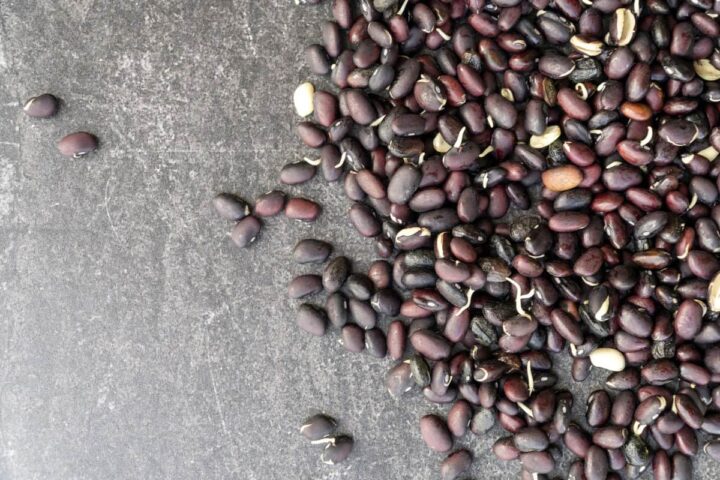 How to Sprout your Beans, and Why you Should! - Eat Your Way Clean