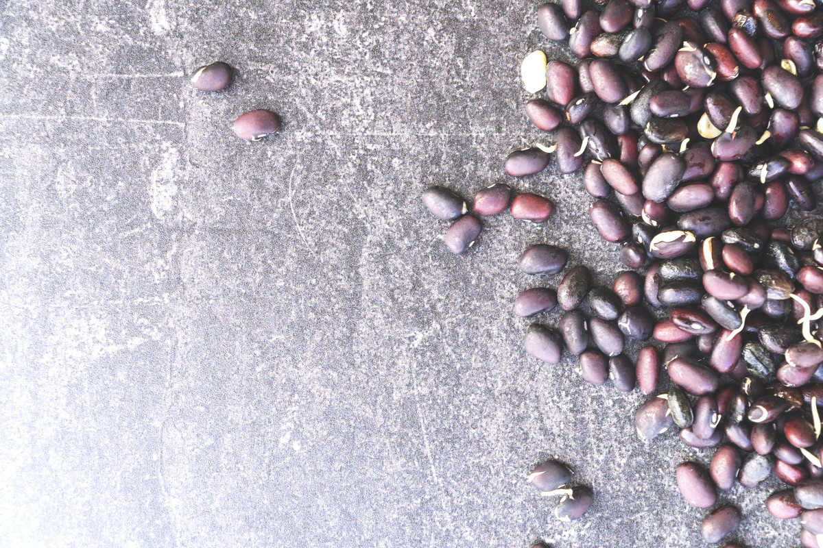 How to Sprout your Beans, and Why you Should! - Eat Your Way Clean